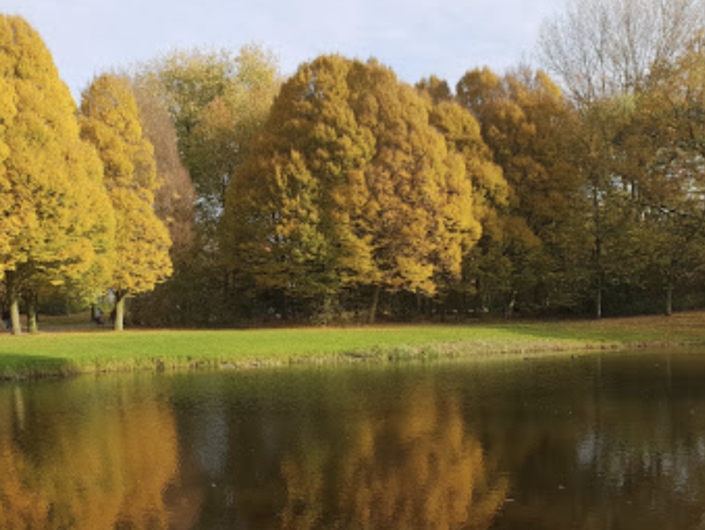 Beatrixpark: Losloopplezier voor honden in Amsterdam | Viervoet